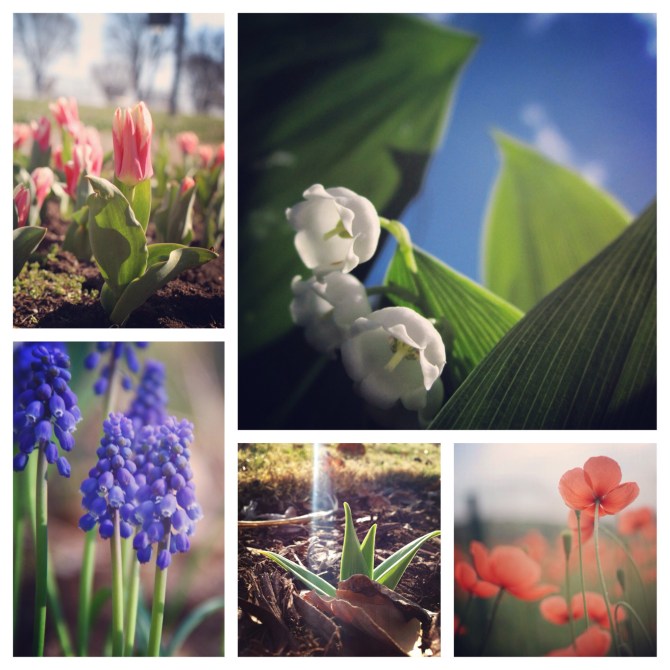 Spring Inventory – What do you want to read? – SARAH DERR